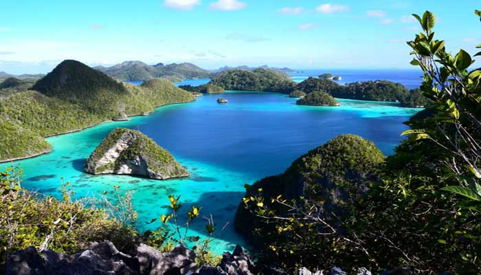 Exploring the Wonders of Teluk Cenderawasih National Park: Indonesia's ...